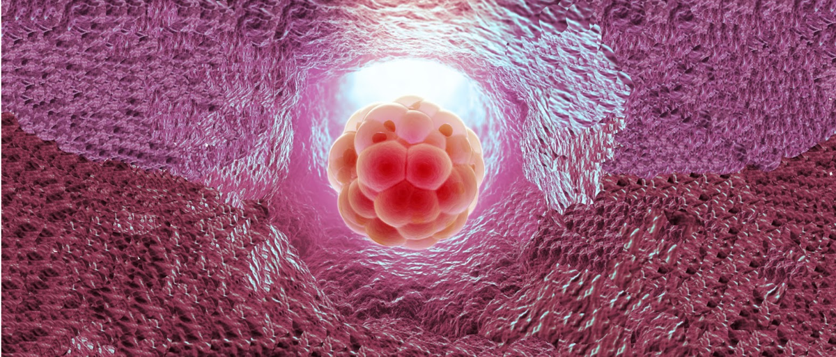 Quand apparaissent les symptômes de la nidation