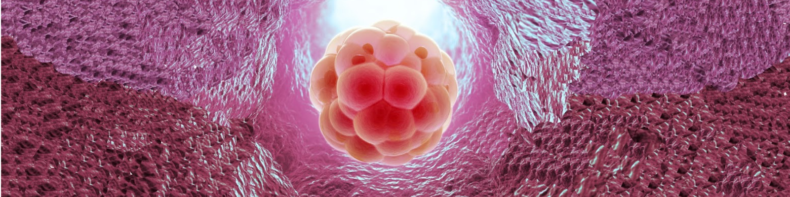 Quand apparaissent les symptômes de la nidation